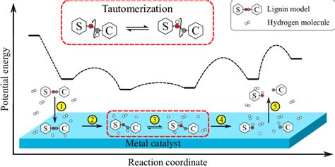 3 Shows A Schematic Potential Energy Surface For The Catalytic Cleavage