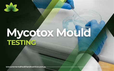 Revealing Hazards Mycotoxin Mold Tests Elemental Health
