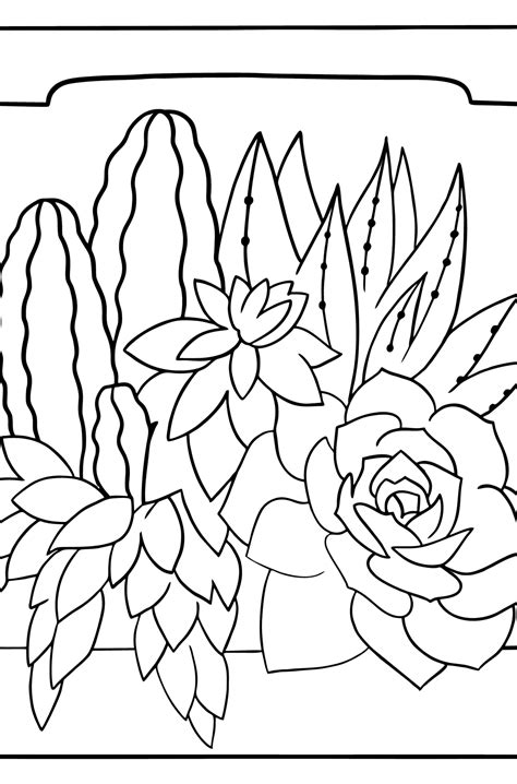 Stone Rose And Blooming Cactus Flowers Coloring Pages For Adults