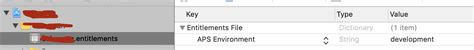 Ios How Can I Set The `aps Environment` Value In Entitlements To `development` When Archiving