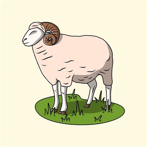 Arrowroot Sheep From Indonesia 57928374 Vector Art At Vecteezy