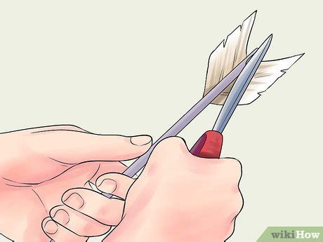 4 Ways To Make A Natural Bow And Arrow WikiHow Fitness