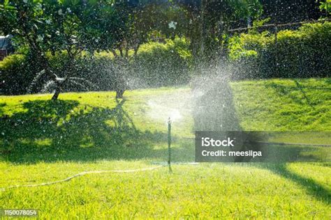 잔디 잔디에 대 한 스프링클러에서 자동 급수 시스템 및 물 분사 0명에 대한 스톡 사진 및 기타 이미지 0명 거리 건축 Istock