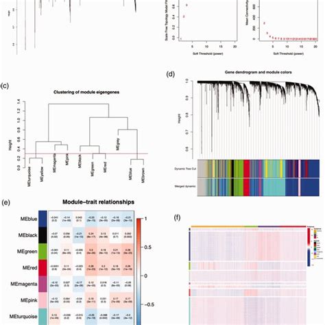Principal Component Analysis For Gene Expression Distribution A Four