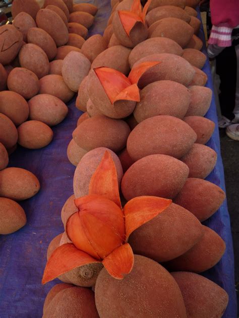 Mamey La Fruta De Color Excepcional Y Sabor Particular Que Es Pintada