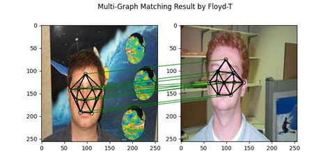 Jittor Backend Example Multi Graph Matching — Pygmtools Documentation