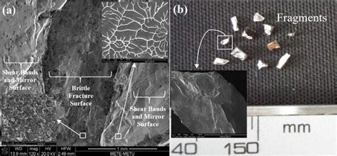16 Sem Micrographs Of Fracture Surfaces Of 3 Mm Diameter A Download Scientific Diagram