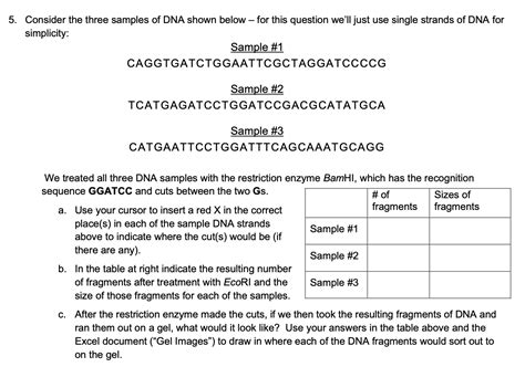 Solved Consider The Three Samples Of Dna Shown Below For