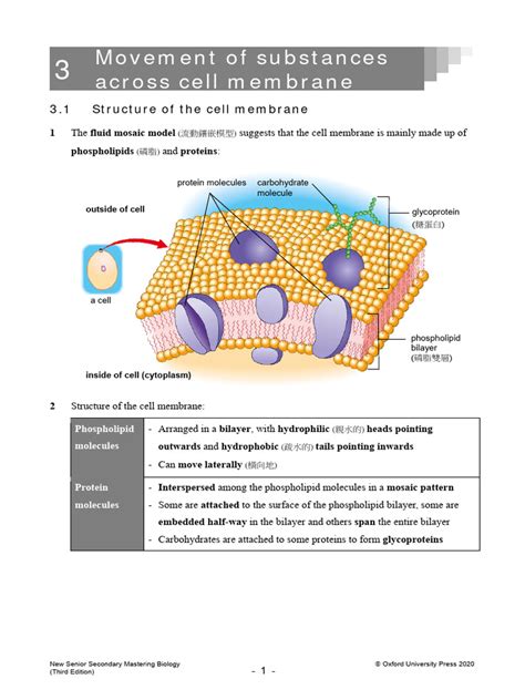 Rev Notes Ch03 E Pdf Cell Membrane Lipid Bilayer