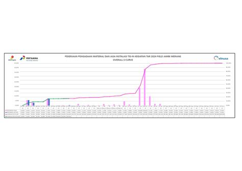 Project S Curve 21032024 Pdf