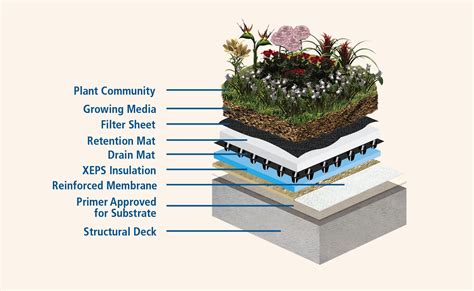 How Does A Green Roof Work