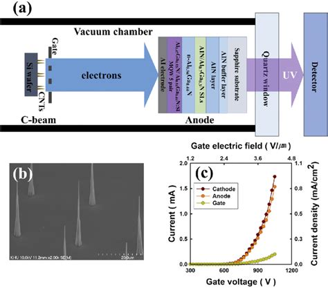 Duv Generation With A Carbon Nanotube Cold Cathode Based Electron Beam Download Scientific