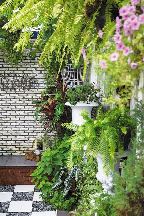 สวนเบญจรงค์สุคนธ์ ไอเดียสวนหน้าบ้าน สวนไม้กระถาง ไอเดียแต่งสวน