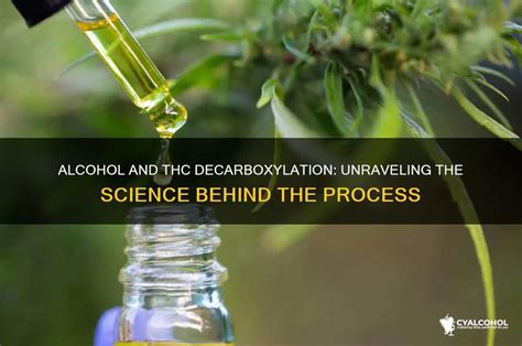 Alcohol And Thc Decarboxylation Unraveling The Science Behind The Process Cyalcohol