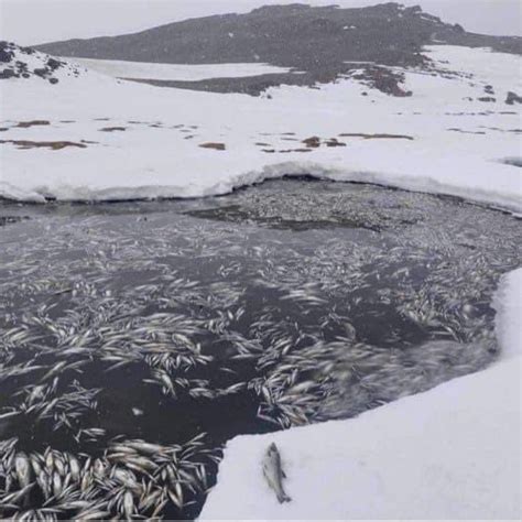 ШУУД “Нүүрсний хулгайч” нарт тооцохыг шаардсан иргэдийн жагсаал долоо дахь өдрөө үргэлжлэв