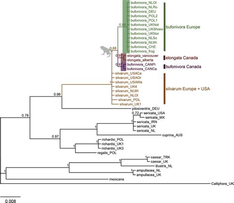 Bayesian Inference Tree Constructed From Per Gene NDNA Sequence Data Download Scientific