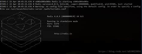 centos7安装配置redis centos redis 安装到指定目录 csdn博客