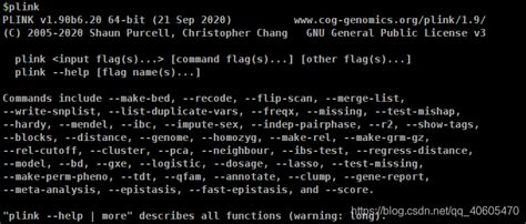 linux上安装plink plink安装 csdn博客