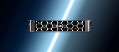 Descubre Powerprotect Data Manager Appliance Dm5500 Enetic