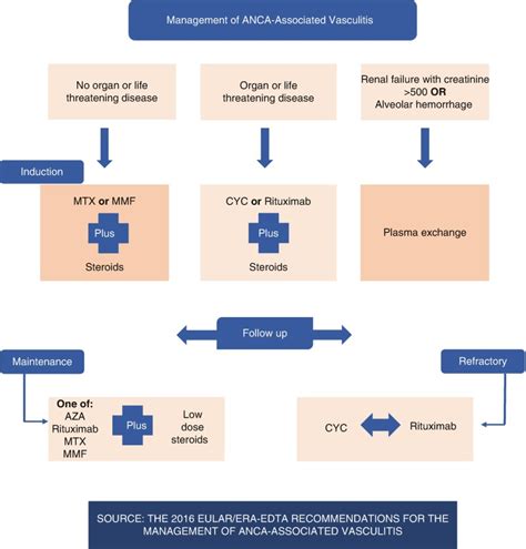 Eular Recommendations