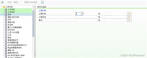 Sap Abap 动态选择屏幕sap Screen Dynmic Text Csdn博客