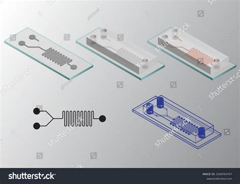1 Microfluidic Chip Design Stock Vectors And Vector Art Shutterstock