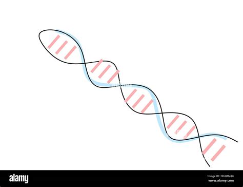 One Continuous Single Line Drawing Of Dna Isolated On White Background Stock Vector Image And Art