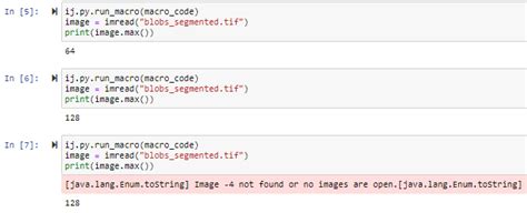 Macro Results Vary When Calling It Via Pyimagej Usage And Issues