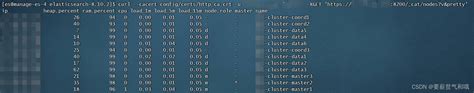 elasticsearch 8查看集群、节点状态 es查看节点状态 csdn博客