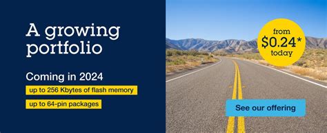 Your Next 8 Bit Mcu Is A 32 Bit Its Called Stm32c0 Stmicroelectronics