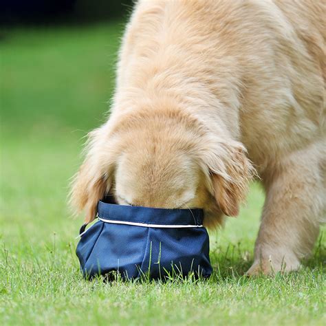 Badu Bg Преносими сгъваеми купи за храна и поилки за кучета Котки