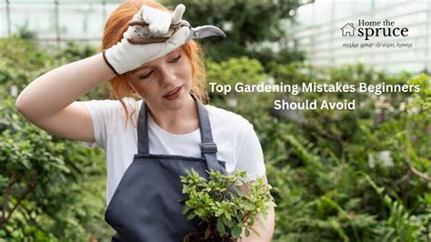 top gardening mistakes beginners should avoid