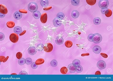 Essential Thrombocythemia Et Overproduction Of Platelets Thrombocytes Isometric View 3d