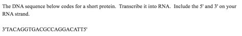 Solved The DNA Sequence Below Codes For A Short Protein Chegg
