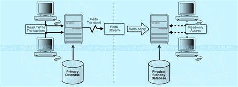 Oracle Data Guard Assignment Help High Quality Free Revisions