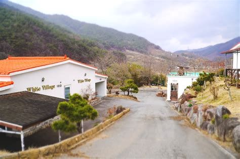 곡성 가볼만한곳 섬진강기차마을 단체 펜션 여행 숙소 장미공원 네이버 블로그