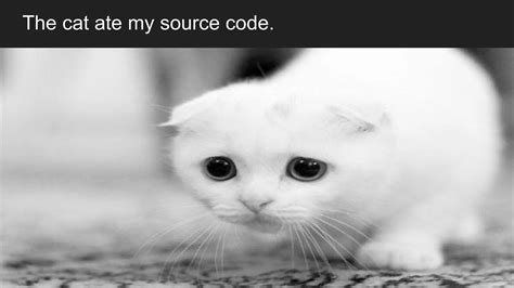 The Pragmatic Programmer Ppt