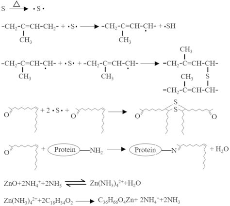 Chemical Reactions Of The Crosslinking Process Download Scientific