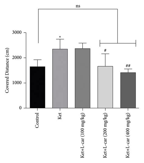 Effect Of L Carnitine L Car Administration 100 200 And 400 Mgkg Download Scientific