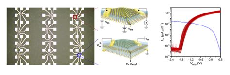 Ibs 기술 전망 넘어선 차세대 극소형 반도체 소자 구현초미세화 앞당긴다 전자신문