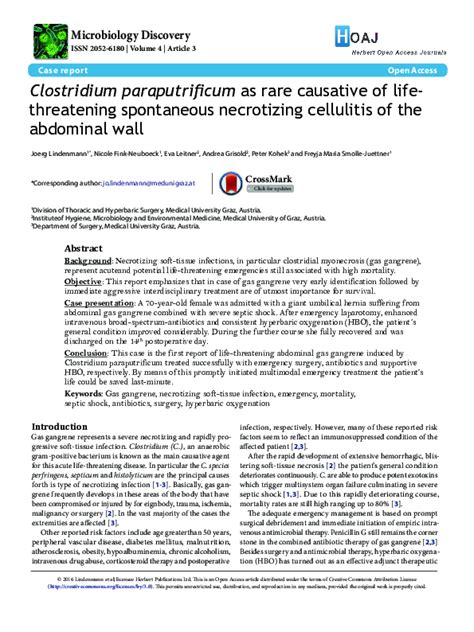 Pdf Clostridium Paraputrificum As Rare Causative Of Lifethreatening