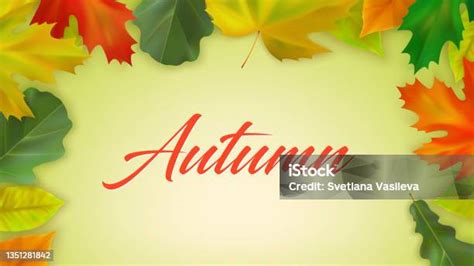 가을 단풍 나무와 오크 잎에 비문 가을 색상 배경 사실적인 색상 가을 잎의 가을 구성 벡터 일러스트레이션 0명에 대한 스톡 벡터