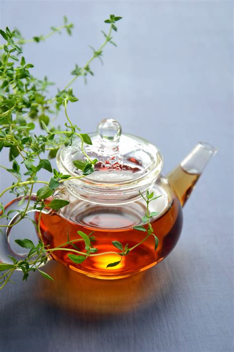 무료 이미지 초본 차 백리향 향기로운 약용 식물 의학 Tea Drinking 유능한 주전자 투명한 녹색 이파리 약초 치료 부엌 음주 에센셜