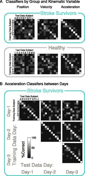 Individual Differences A A Classifier Algorithm Was “trained” With Download Scientific Diagram