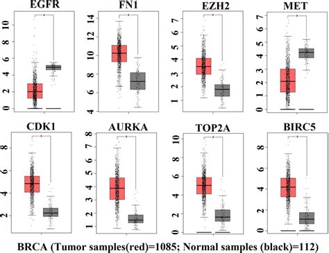 Frontiers Bioinformatics And Network Based Screening And Discovery Of Potential Molecular