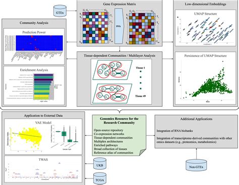 GitHub TjiagoM Gtex Transcriptome Modelling Multilayer Modelling Of