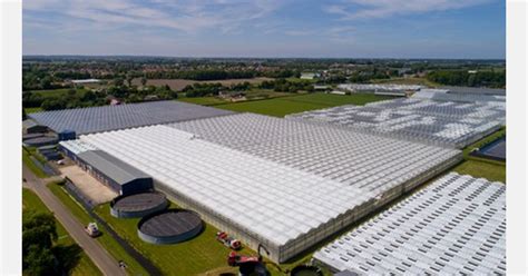 How Much Light Does My Crop Need