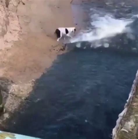 Making Your Own Fun Tumbex