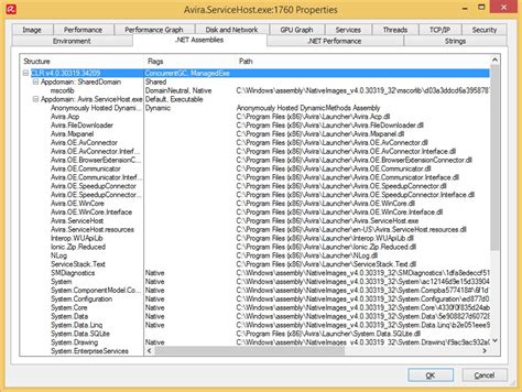 Net Assemblies Tab Process Explorer
