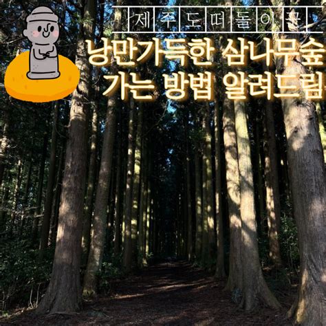 제주 한라산 둘레길 이승악 이승이 오름 삼나무숲길 가는 방법